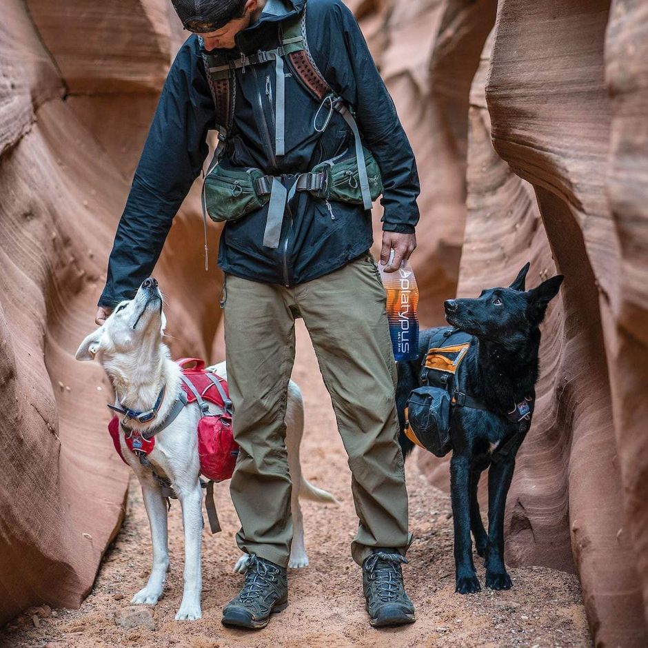 Köp Kurgo Baxter Dog Backpack till din hund | Tinybuddy