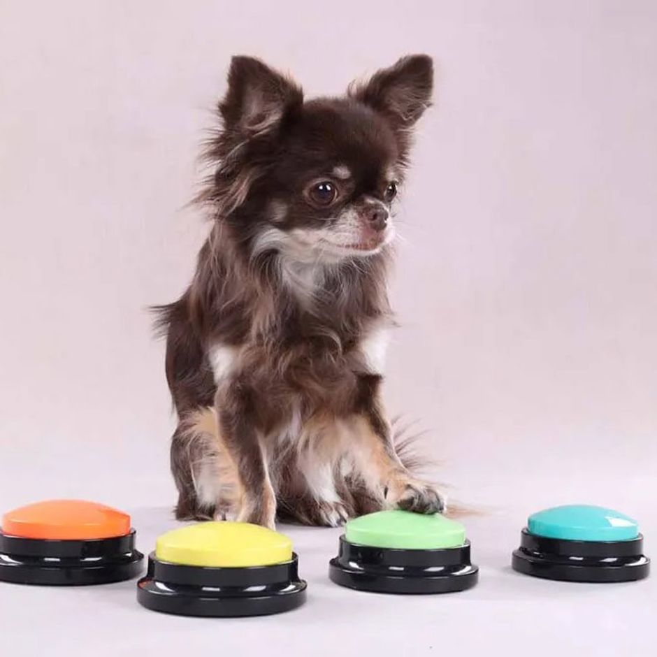 Köp Inspelningsbar Knapp för Hund till din hund | Tinybuddy