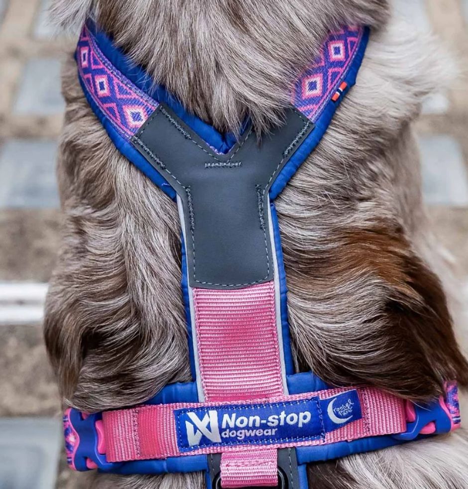 Köp Line harness 5.0 Rachel Pohl edition Pink | Tinybuddy