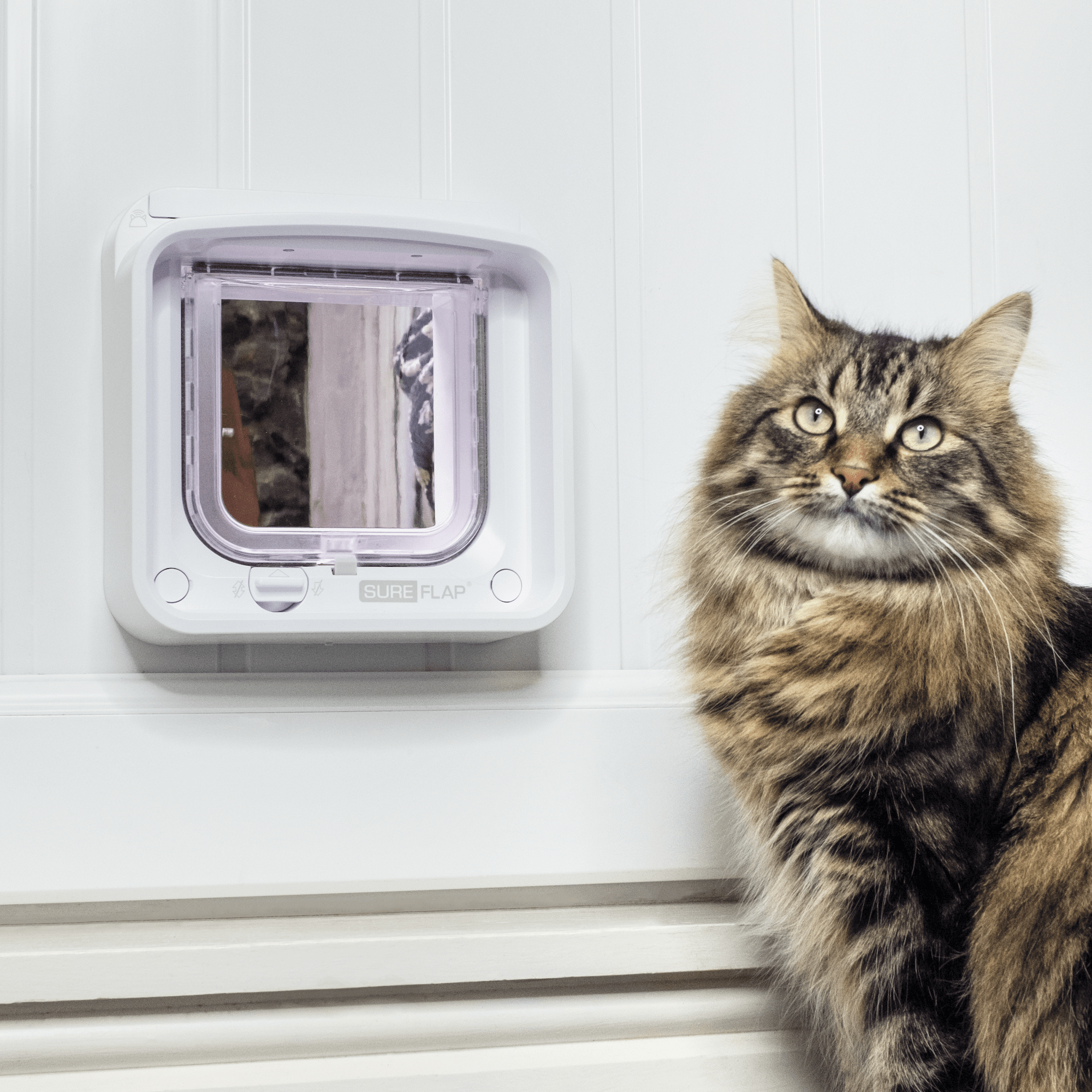 Köp SureFlap Microchip Cat Flap Connect | Tinybuddy