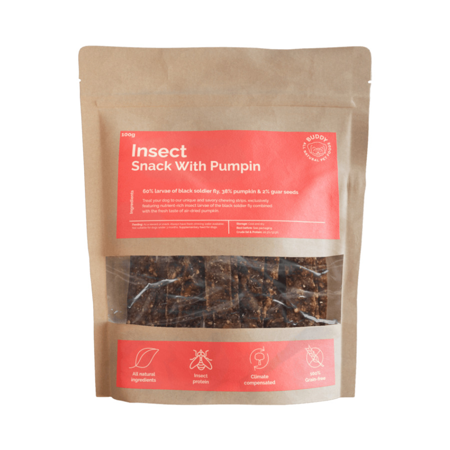 Köp Buddy No-Meat Filet Insect with Pumpkin till din hund | Tinybuddy