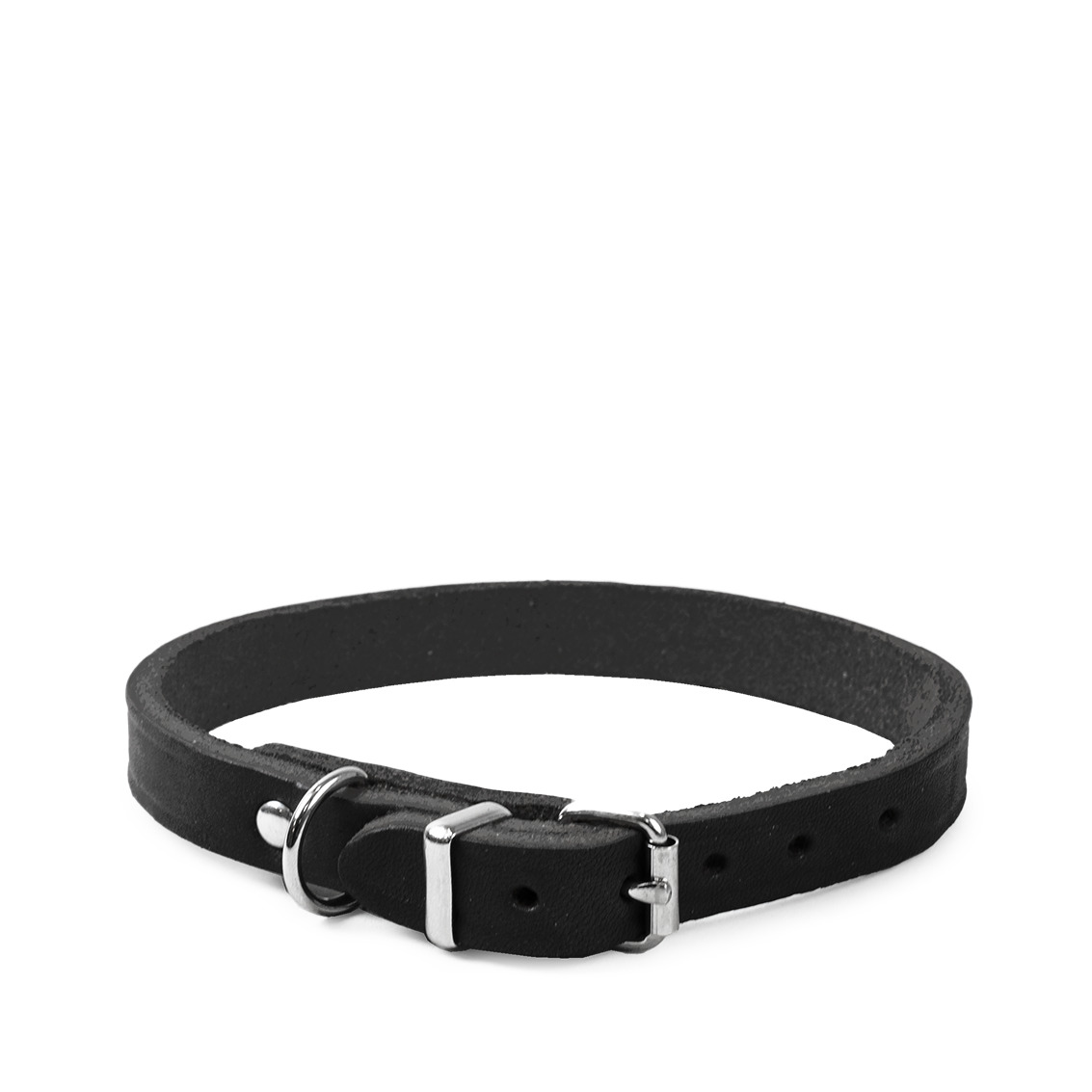 Köp Hera Läderhalsband Svart till din hund | Tinybuddy