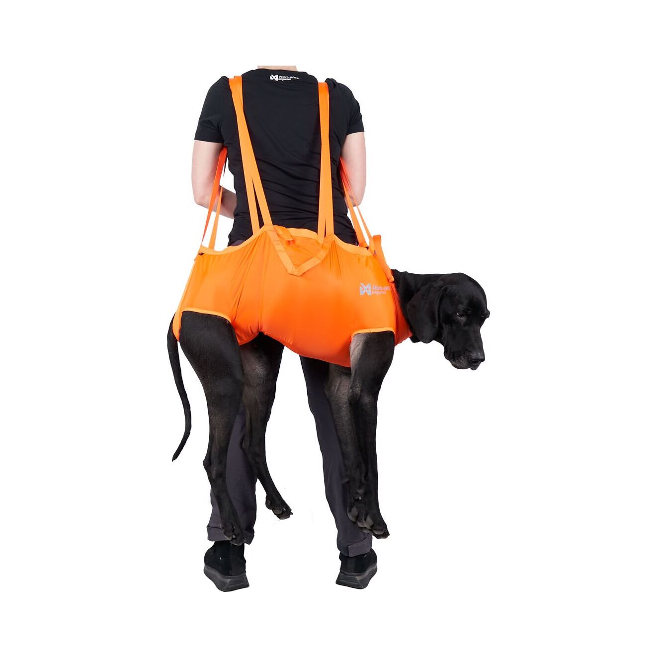 Köp Dog Rescue Sling till din hund | Tinybuddy