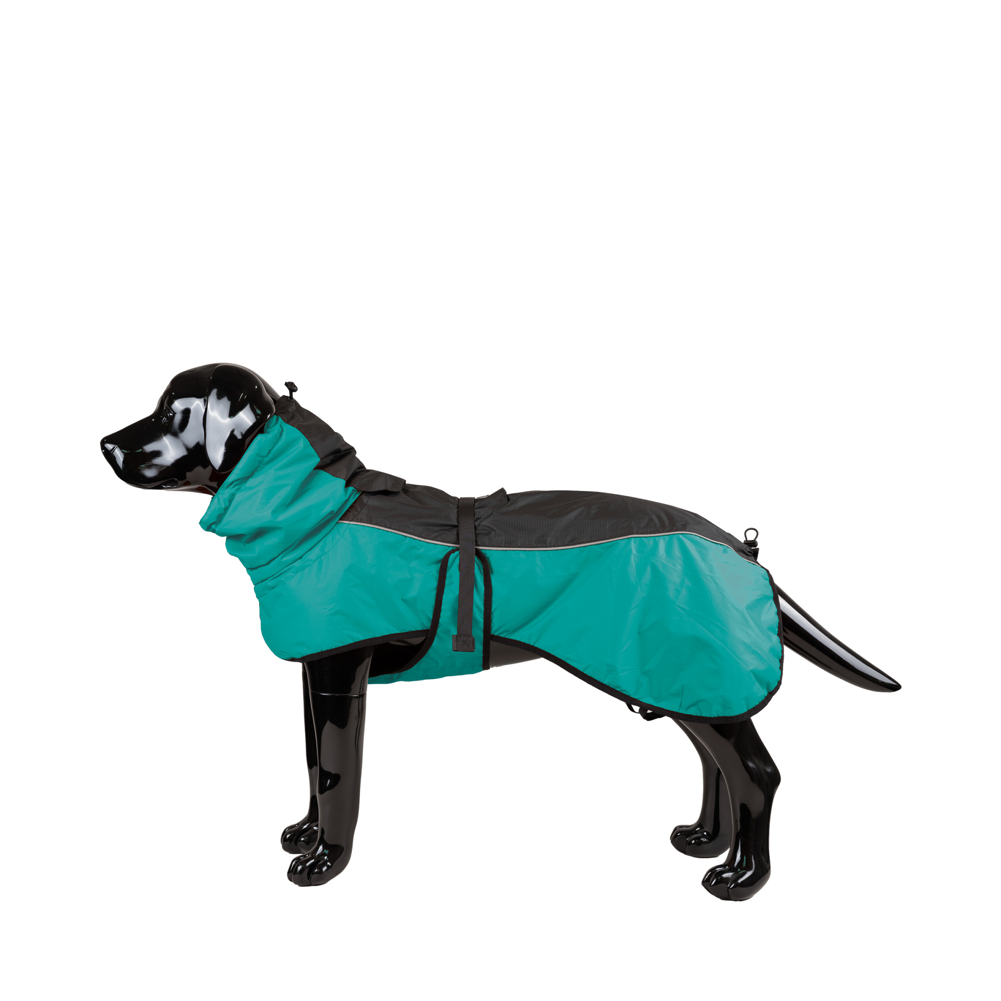 Köp Pajazzo Vintertäcke Turkos till din hund | Tinybuddy